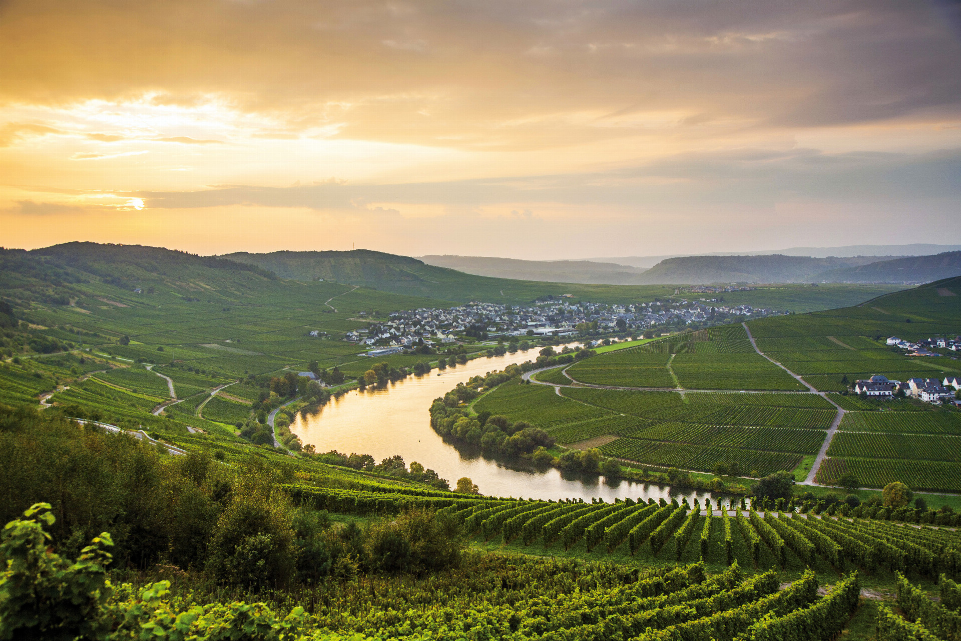 Německá vína | SimplyWines